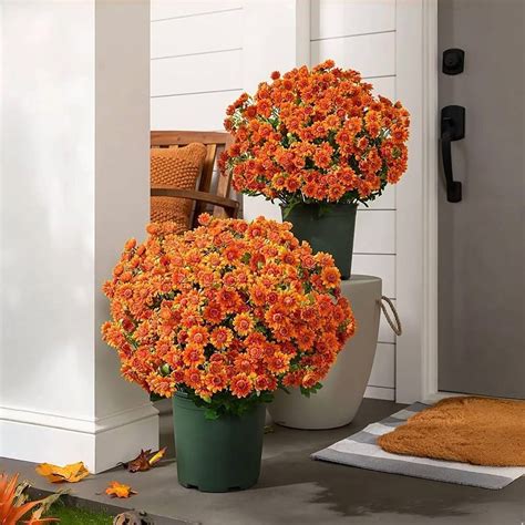 Artificial Mums For Outdoors Fall Artificial Mums That Look Real Mum