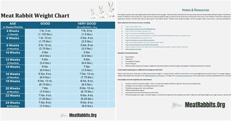 Meat Rabbit Weight Chart Free Download Meat Rabbits