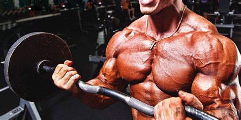 Get Bigger And Harder Density Training Fitness Volt