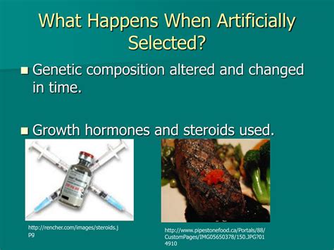 Ppt Artificial Selection Powerpoint Presentation Free Download Id