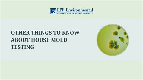 Mold Testing And Detection How To Test For Mold In Your Home