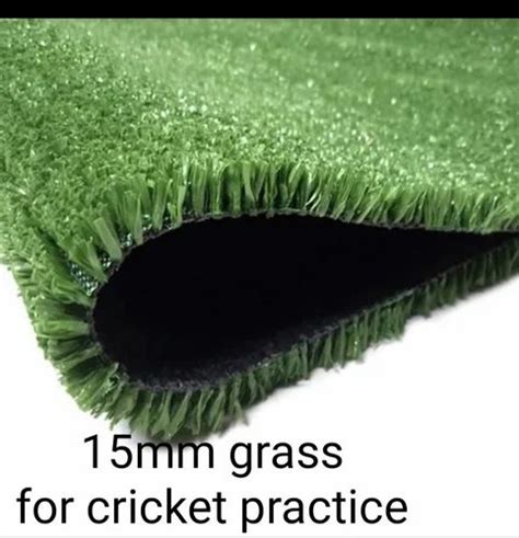 Artificial Cricket Grass At ₹ 65sq Ft In Meerut Id 2852600001791