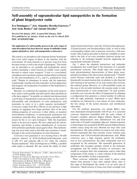 Pdf Self Assembly Of Supramolecular Lipid Nanoparticles In The