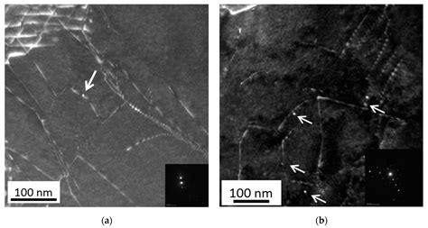 Metals Free Full Text Effect Of Neutron Flux On An Irradiation Induced Microstructure And