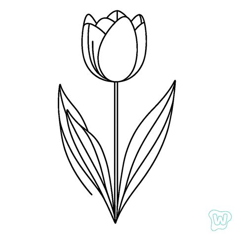 56 Tulipas Para Colorir Baixar E Imprimir Pdf