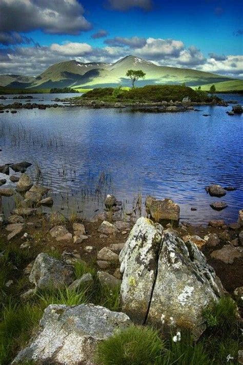Things To Do In Aviemore And The Cairngorms National Park Artofit