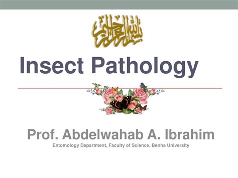 Ppt Insect Pathology Powerpoint Presentation Free Download Id9146932
