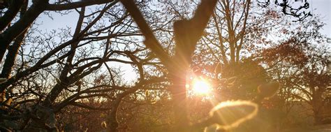 Coaching Florence Brooks