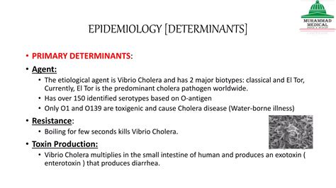 Epidemiology And Control Measures For Cholera Pptx