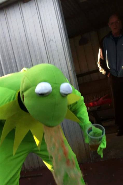 God Dammit Kermit Imgur