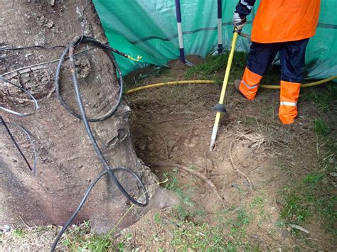 Tree Root Detection And Mapping Trdm And Root Excavation Services Asia