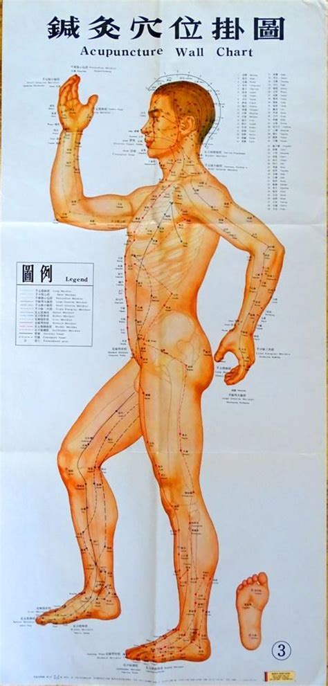 Acupuncture Points Meridians Chart Poster Buyamag Buyamag Inc