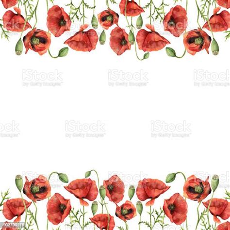 양 귀 비와 수채화 꽃 테두리입니다 손으로 그린 꽃 잎 씨앗 캡슐와 분기 흰색 배경에 고립 된 그림 디자인 인쇄 및 배경 꽃 나무에 대한 스톡 벡터 아트 및 기타 이미지