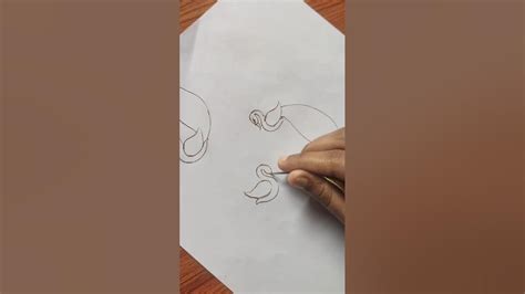 Easy Peacock Design 🦚🌿 Mehndi Peacockmehndidesign Shortvideo Shorts Youtube