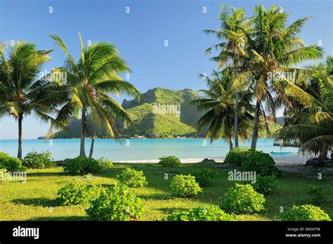 Maupiti Island Banque De Photographies Et Dimages à Haute Résolution Alamy