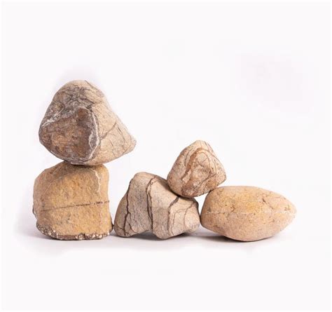 Natural Stone Round Rainforest Brown Pebble For Landscaping