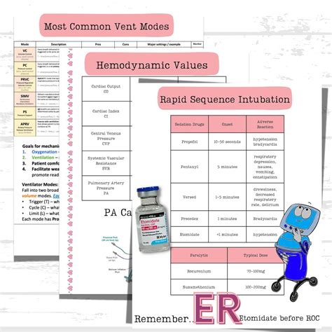 Icu Nurse Reference Guide Abg Hemodynamics Meds Pdf Download Etsy