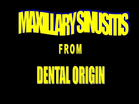 Ppt Maxillary Powerpoint Presentation Free Download Id3332920