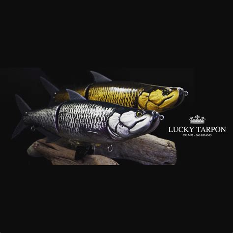 Solid Solution Designs Added A Solid Solution Designs