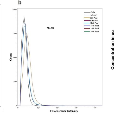 Monitoring The Enrichment Of The Selected Dna Libraries Regarding The