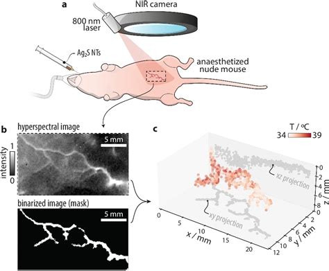 International Team Of Researchers Develops 3d Temperature Mapping