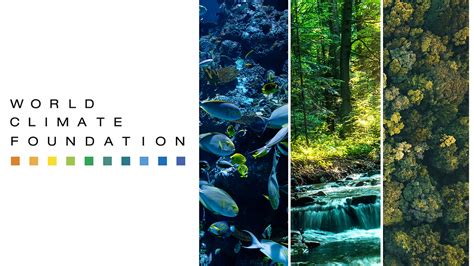 A Historic Moment The Global Biodiversity Framework Is Agreed