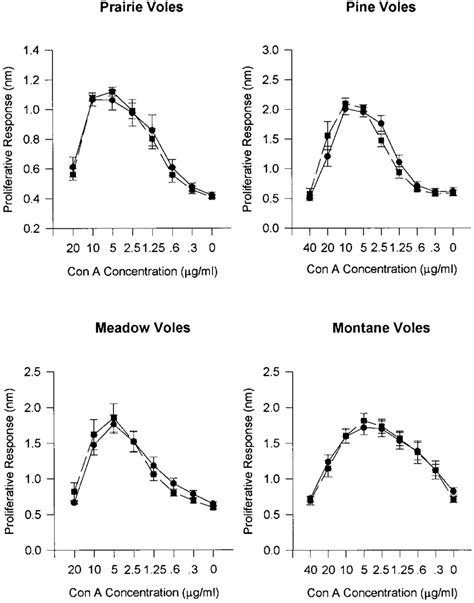 Mean Sem Splenocyte Proliferation Values Absorbance Units Nm