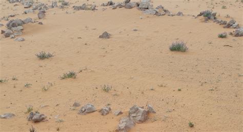 An Ancient Irrigation System