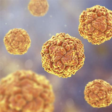 Echo Viruses Stock Illustrations 69 Echo Viruses Stock Illustrations