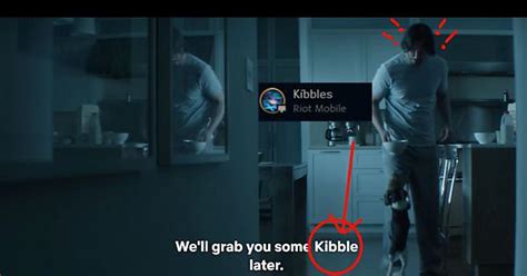 Kibble Album On Imgur