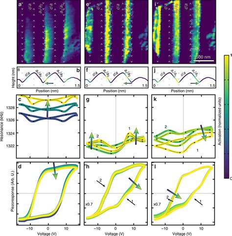 Features Learned From Low Dimensional Layer Of The Resonance Response