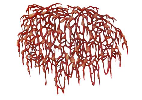 Methods Of Committing Aquatic Atrocities Doctors Told Me Split W