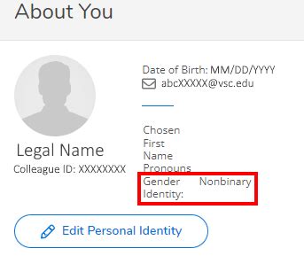 Name Pronouns And Gender Identity Information VSC IT