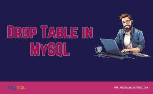 Create MySQL Table Programming Funda