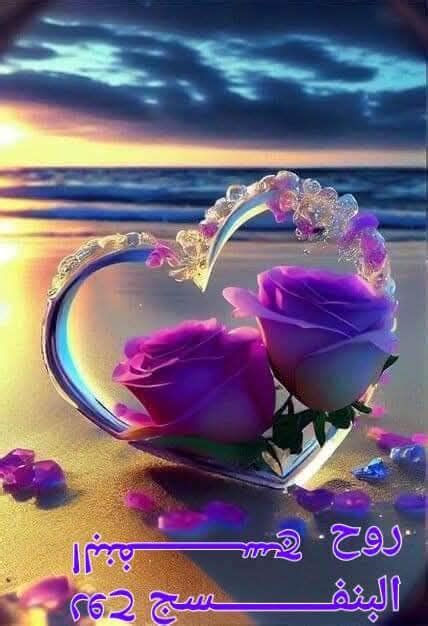 💜💎💜 عشـآق 💎 آلبنفسـجي 💜💎💜 صباح الخير صباح الحب والسعادة للقلوب الطيبة Tout Le Monde