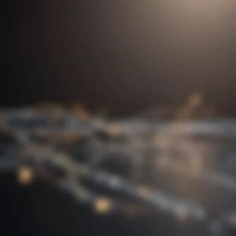 Understanding Kappa Lambda Ratio In Immunology