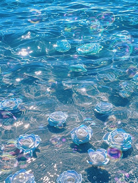 碎冰蓝玫瑰 小红书 花瓣网