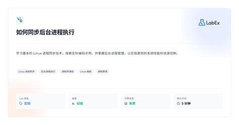 如何同步后台进程执行 Labex
