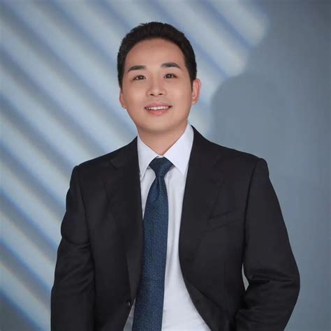 一人有限公司法人人格否认的法律适用与实务分析 知乎