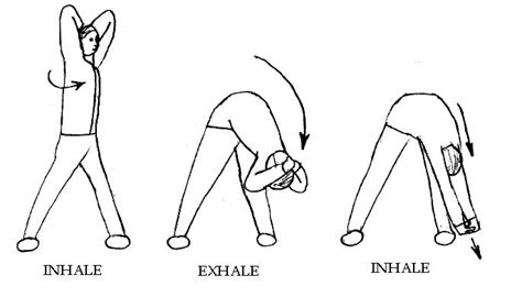20 Best Images About Physical Therapy For Lower Back Pain Exercises On