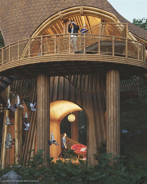 Bird Watching Deck Behance Bird Watching Bird Deck