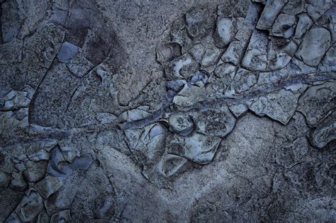 Cordarone Prospect Informatii Mod De Administrare Reactii Adverse