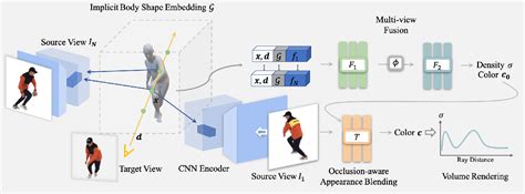 generalizable neural performer learning robust radiance fields for