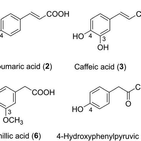 Structure Of Hydroxycinnamic Acid Derivatives Hca Download Scientific Diagram