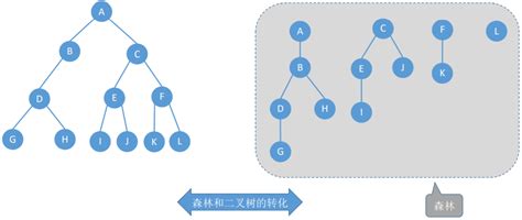 树的存储结构以及树和森林的遍历（c语言） 树的三种存储结构及其优缺点 csdn博客