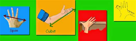 Lets Have Some Fun With Measurement Activity 8 Non Standard Measurement