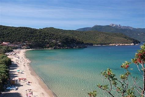 Biodola Beach At Elba Island Isola Delba Elba Spiaggia