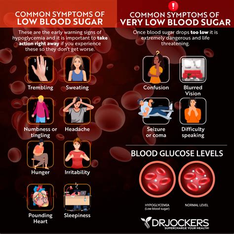 Signs Of Low Blood Sugar Handling Hypoglycemia How To Balance Low