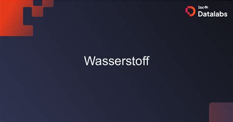 Wasserstoff An AI Bootstrapped Company Based Out Of Gurugram