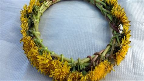 Как сплести венок из одуванчиков Youtube